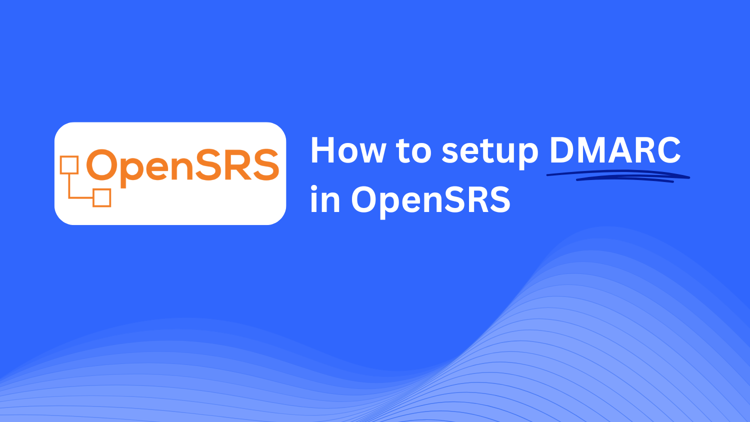 How to Add Skysnag DMARC to Your DNS – Comprehensive DNS Provider Setup ...