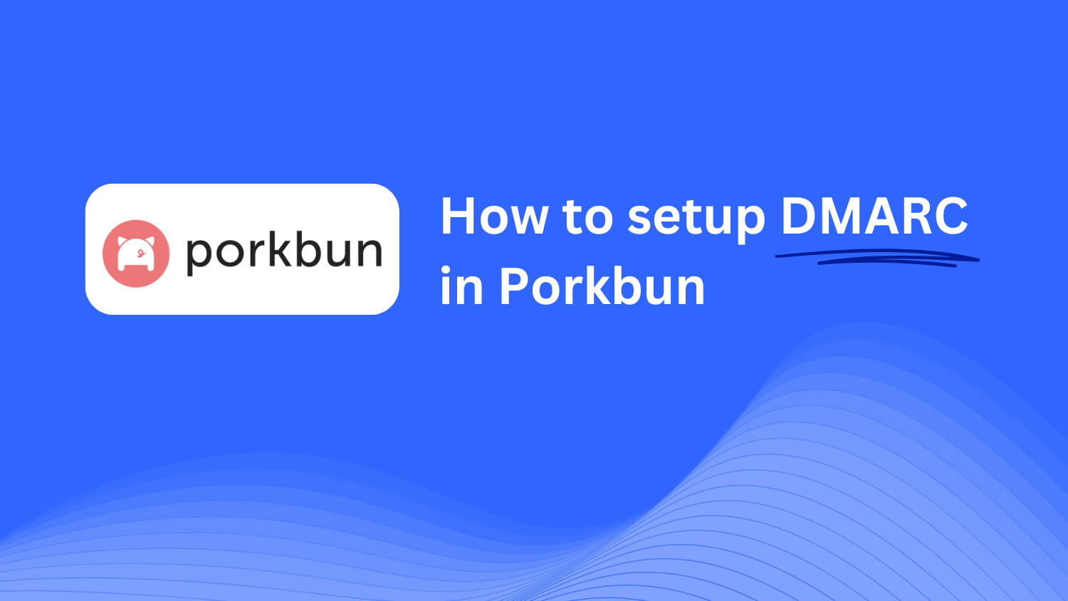 How to Add Skysnag DMARC to Your DNS – Comprehensive DNS Provider Setup Guide - Skysnag